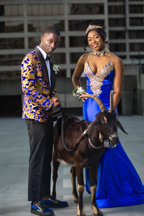 Goat Photo Shoots - Goat Journal